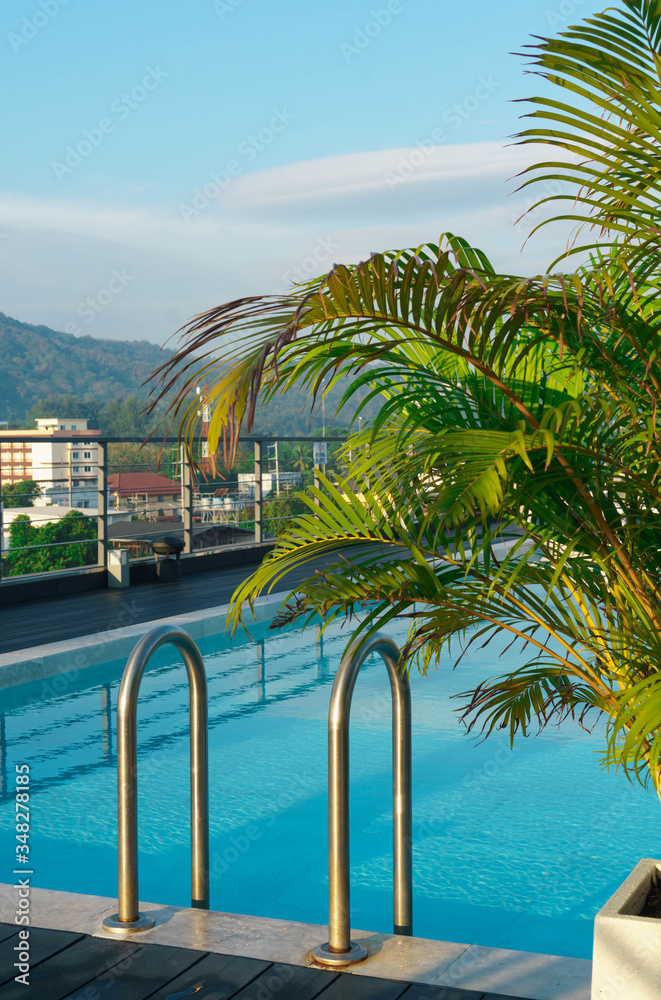 Potted palm tree near the stainless steel ladder at the entrance to the ...