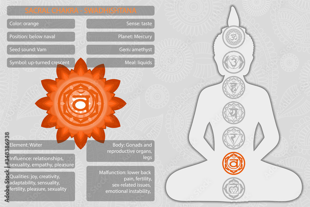 Chakras symbols with description of meanings infographic Stock Vector ...