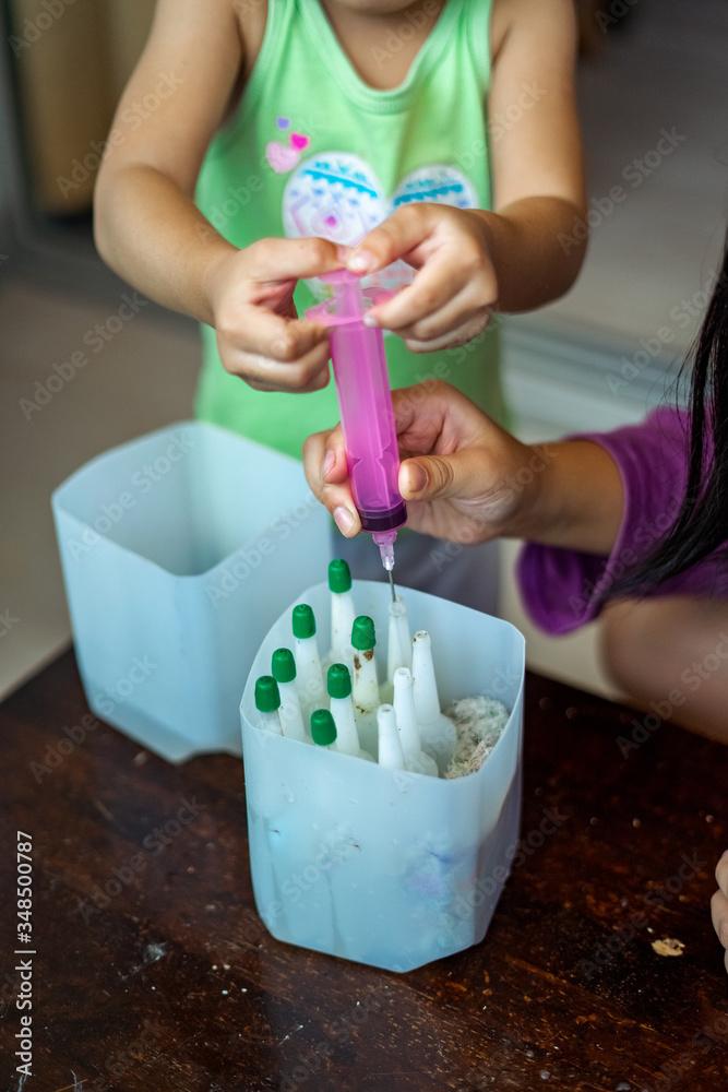 Child injecting organic fertilizer into small containers to be placed ...
