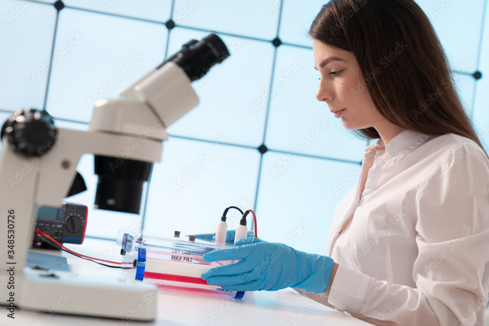 ภาพถ่าย Stock Loading Samples and Running an Agarose Gel for ...