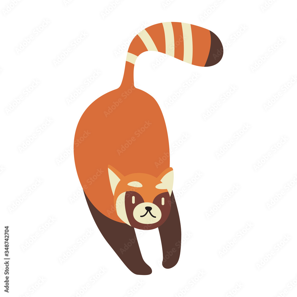 Cute Cartoon red panda, Vector illustration red panda on a white ...