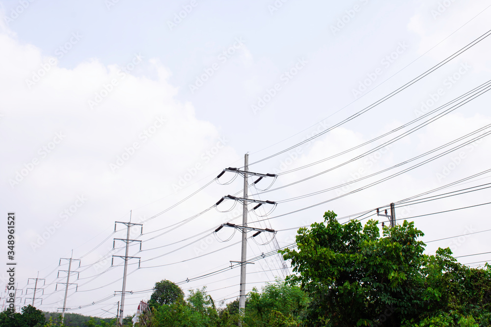 Transmission line of electricity to rural with green tree, High voltage ...