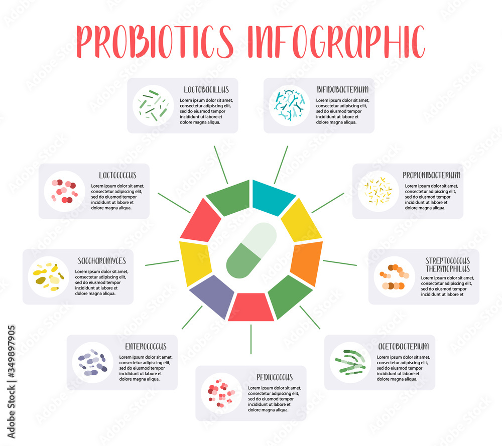 Probiotics infographic. Lactic acid bacteria. Good bacteria for gut and ...