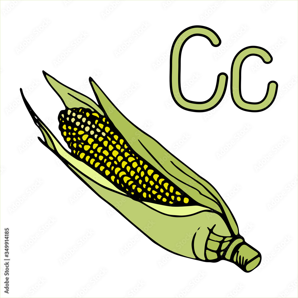 Learning letters letter C. Cartoon outline ear of corn. Vector outline ...