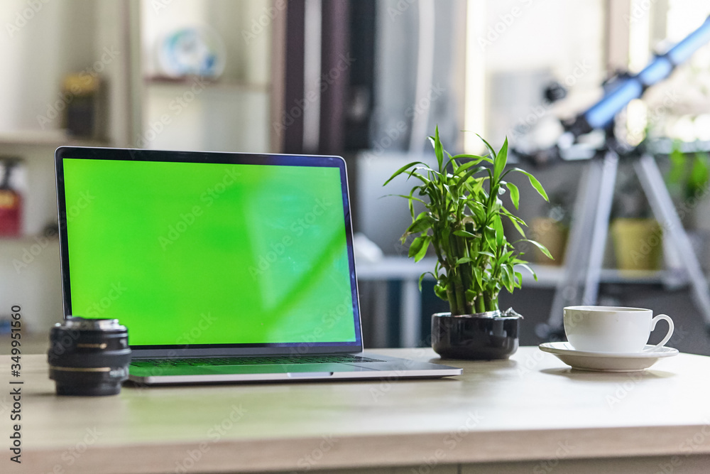 Laptop with mock-up green screen white background in office and Lovely ...