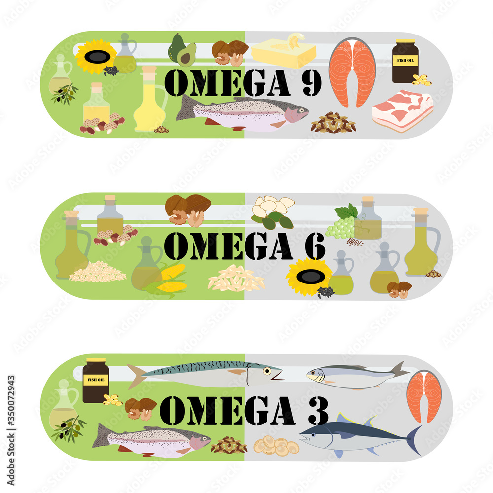 Vector de Stock Omega 3 6 9 healthy nutrient rich food vector ...