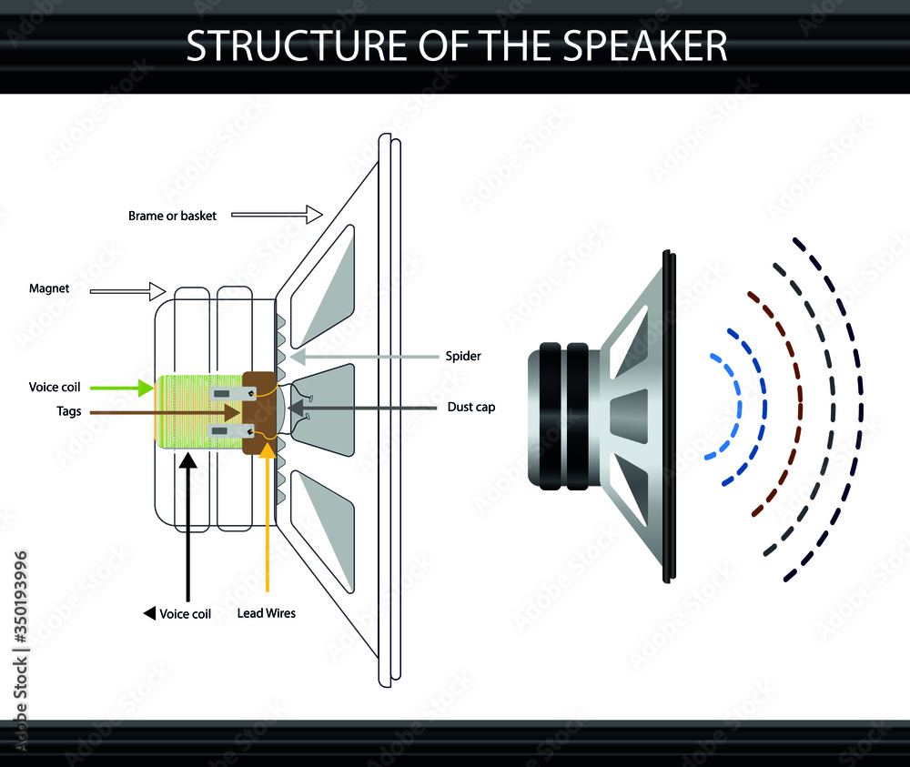 structure of the speaker. speaker and coil. subject of physics lesson ...