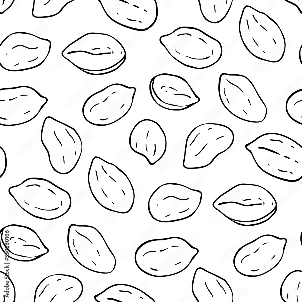 Seamless pattern with peanuts isolated on white background. Ink sketch ...