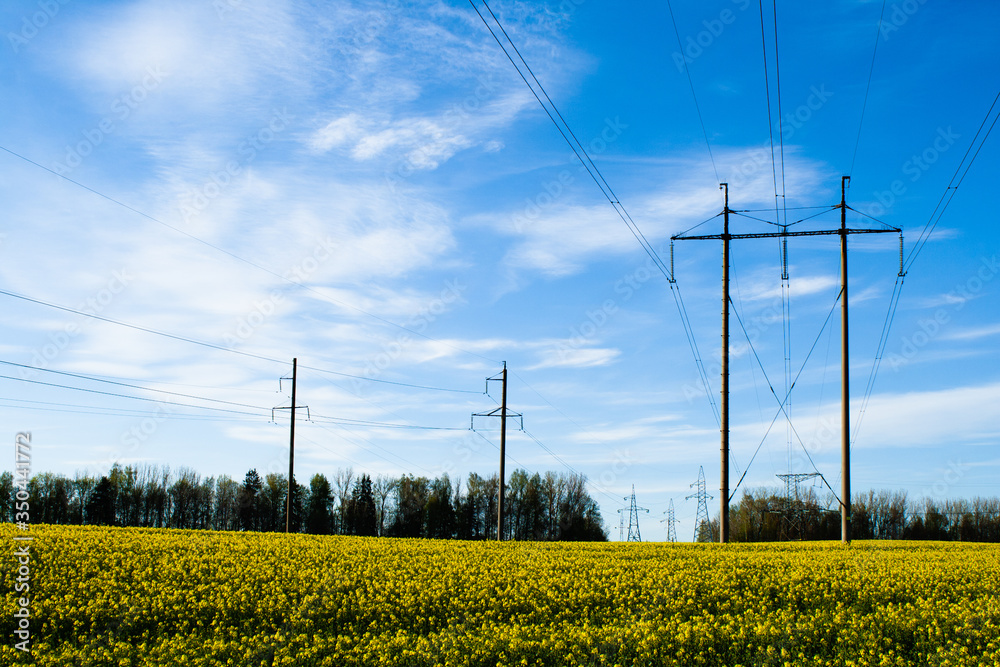 Beautiful field of yellow rape green wheat. Power line electricity ...
