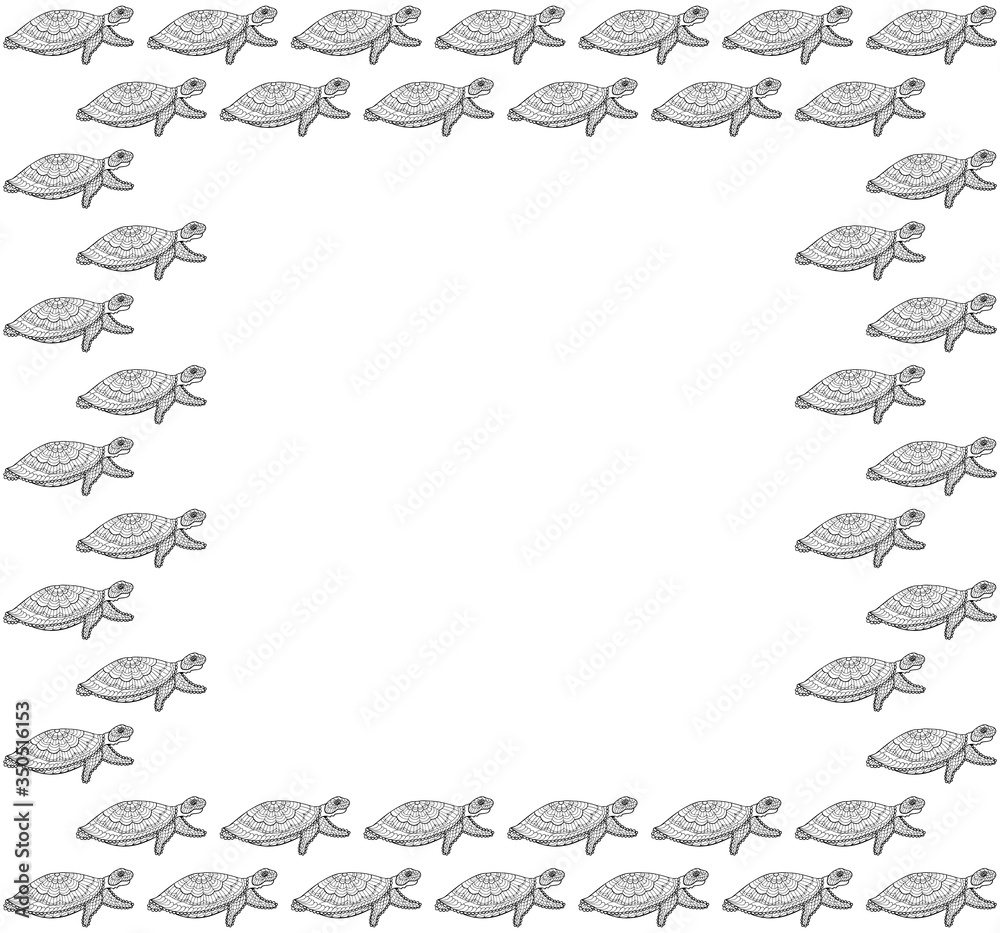 Illustration Stock Square frame of ornamental sea turtles in zentangle ...