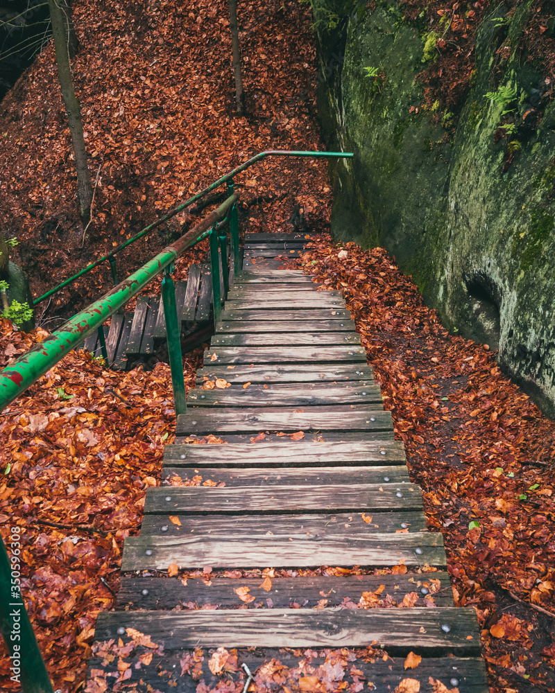 Red autumn forest park stair landscape. Autumn forest stairway view ...