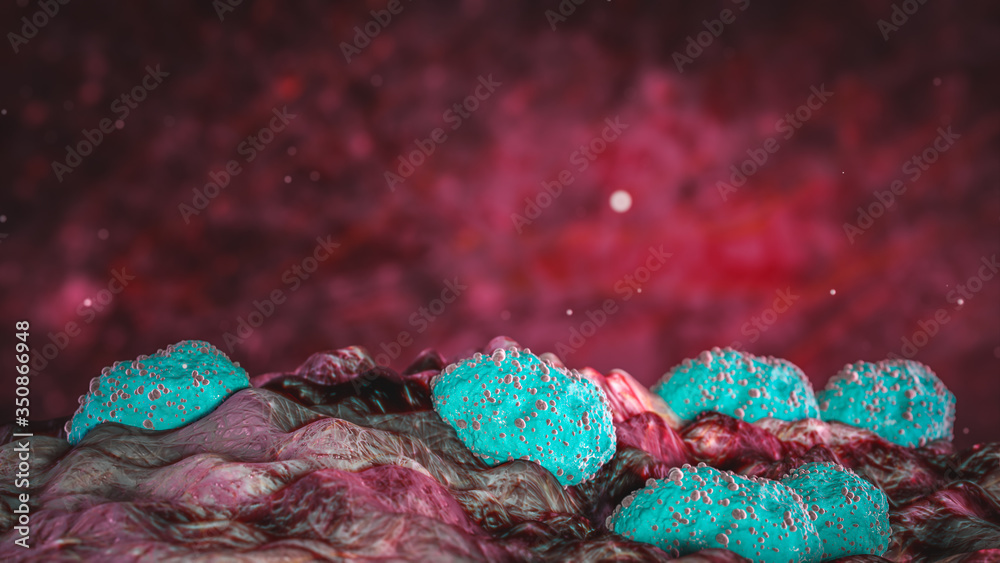 Science Photo of bacteria Staphylococcus is a genus of Gram-positive ...