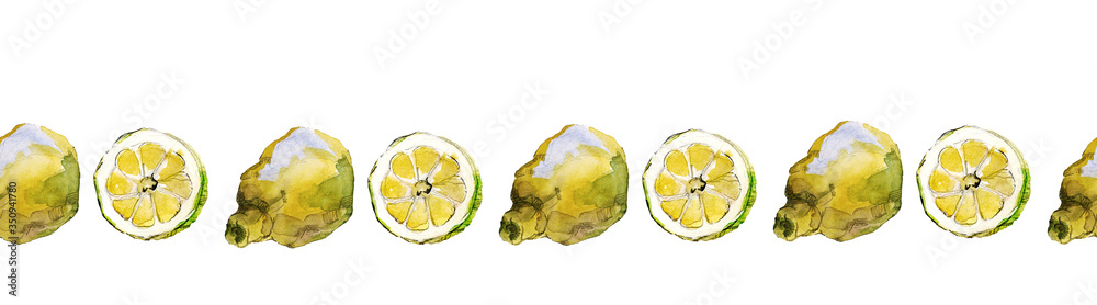 Seamless border of lemon halves and slices, isolated on white ...