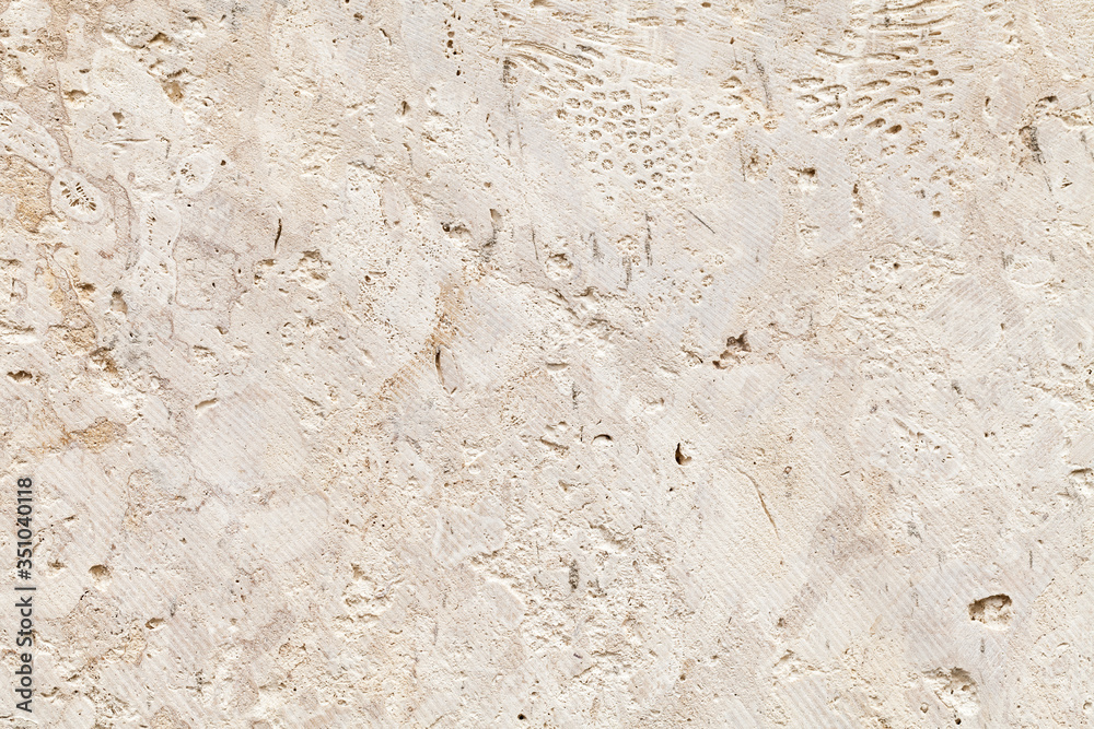 Shelly limestone background texture Stock Photo | Adobe Stock