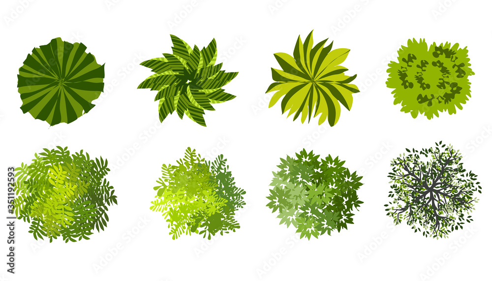 collection of green tree top view isolated for landscape plan and ...