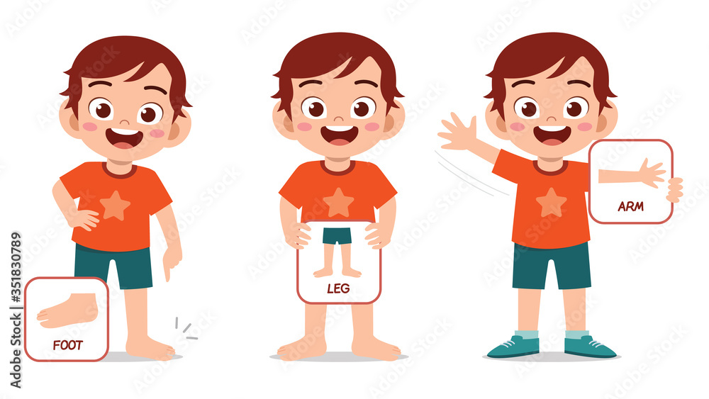 happy cute kid boy body part anatomy Stock Vector | Adobe Stock