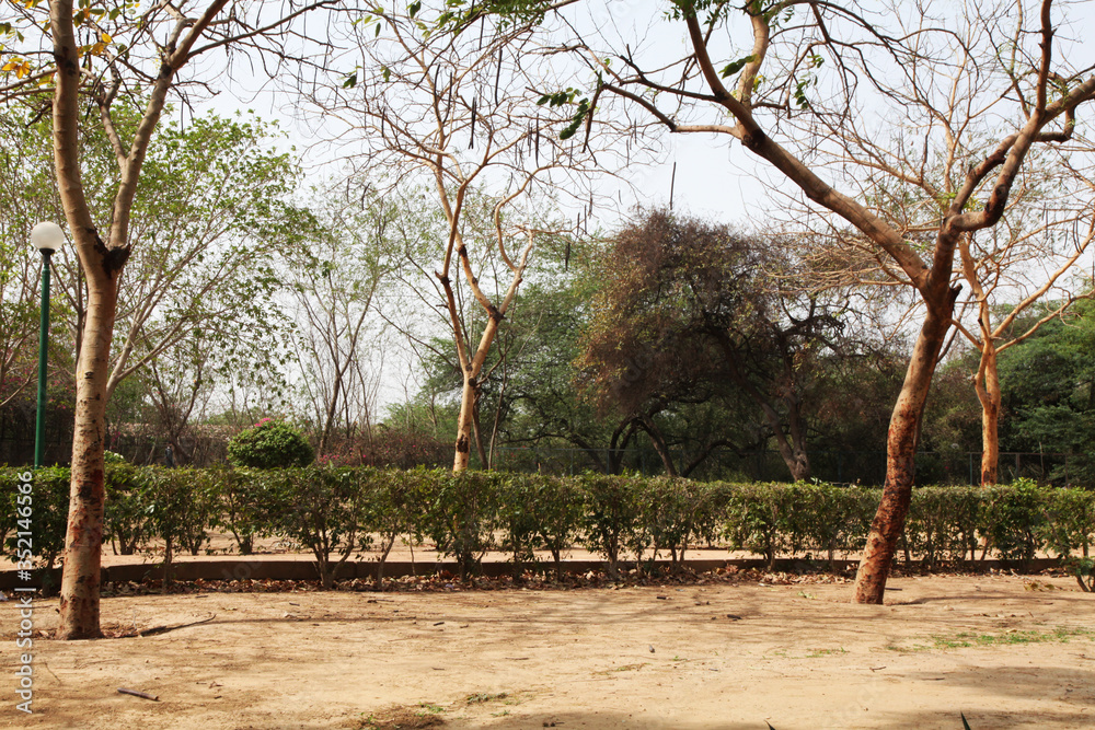 Lado Sarai Flower Nursery and park Saket, Jogging Park, Mehrauli, New ...