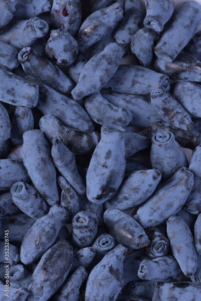 Stock-Foto „Blue honeysuckle (Lonicera caerulea var. edulis). Known ...