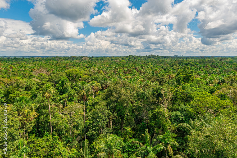 Aerial landscape of the Amazon Rainforest which comprise the countries ...