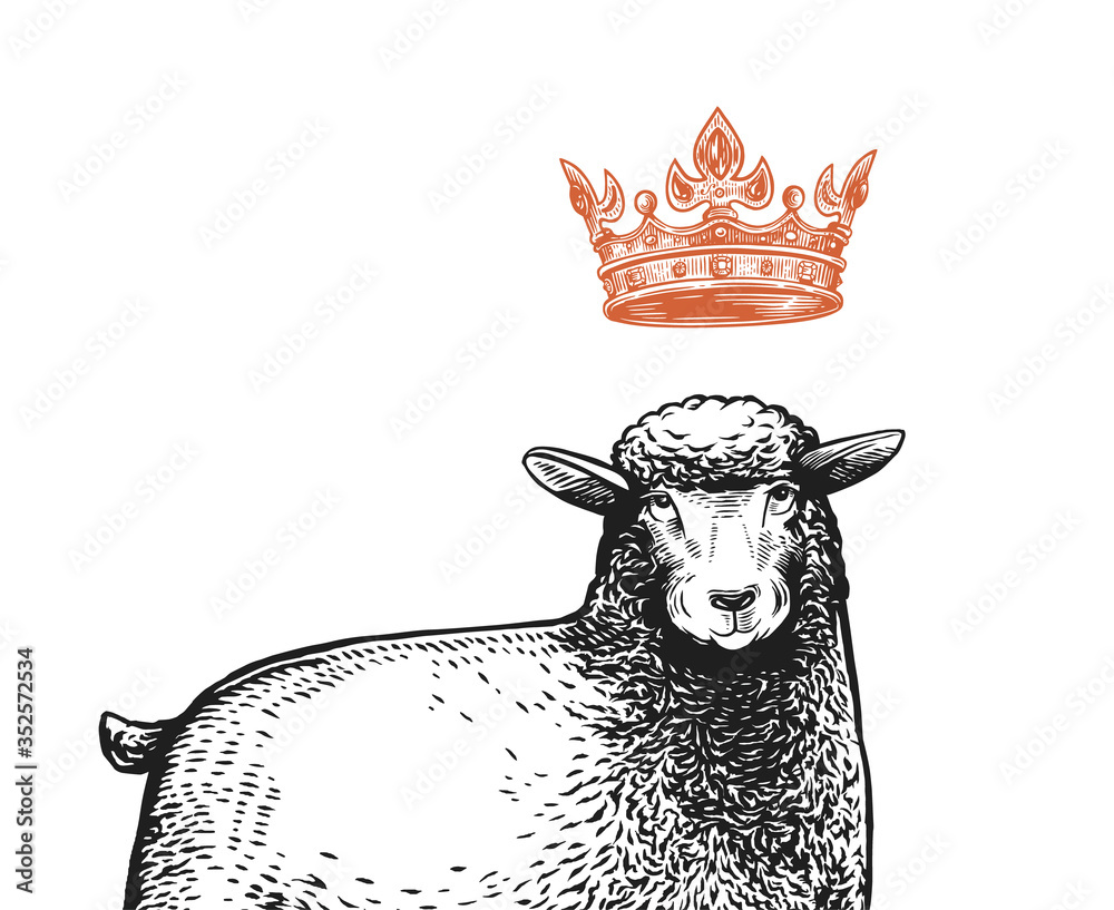 Vector Stylized Close up Illustration of the Queen Sheep with a crown ...