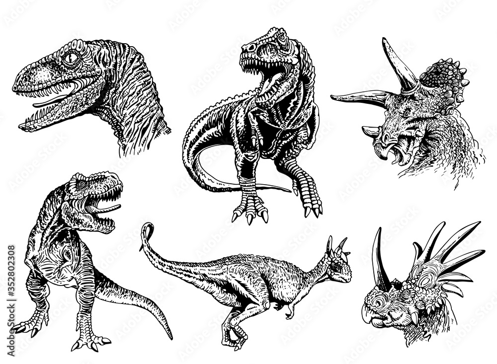 Graphical set of dinosaurs isolated on white background, vector ...