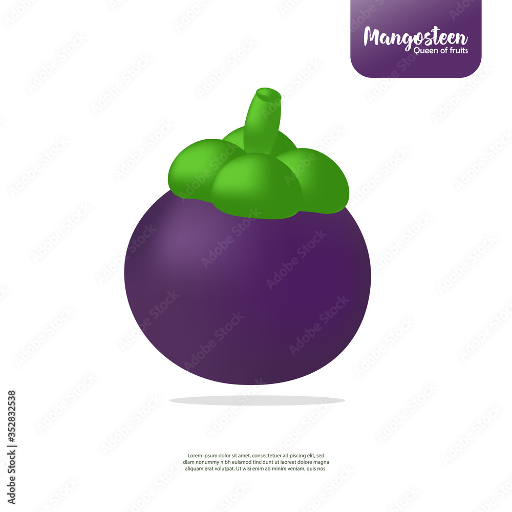 Fresh mangosteen isolated on white background,Queen of fruits,package ...