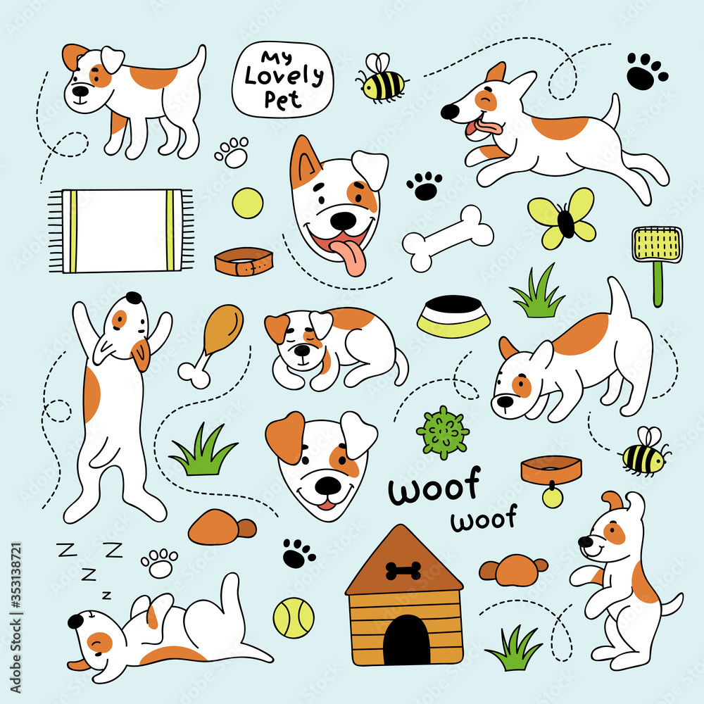 Cute funny dog in different poses. Sleeping, running, lying, jumping ...