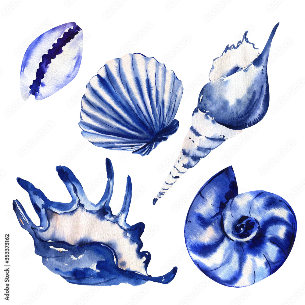 Watercolor seashell set clipart. Blue seashell summer clipart. Planner ...