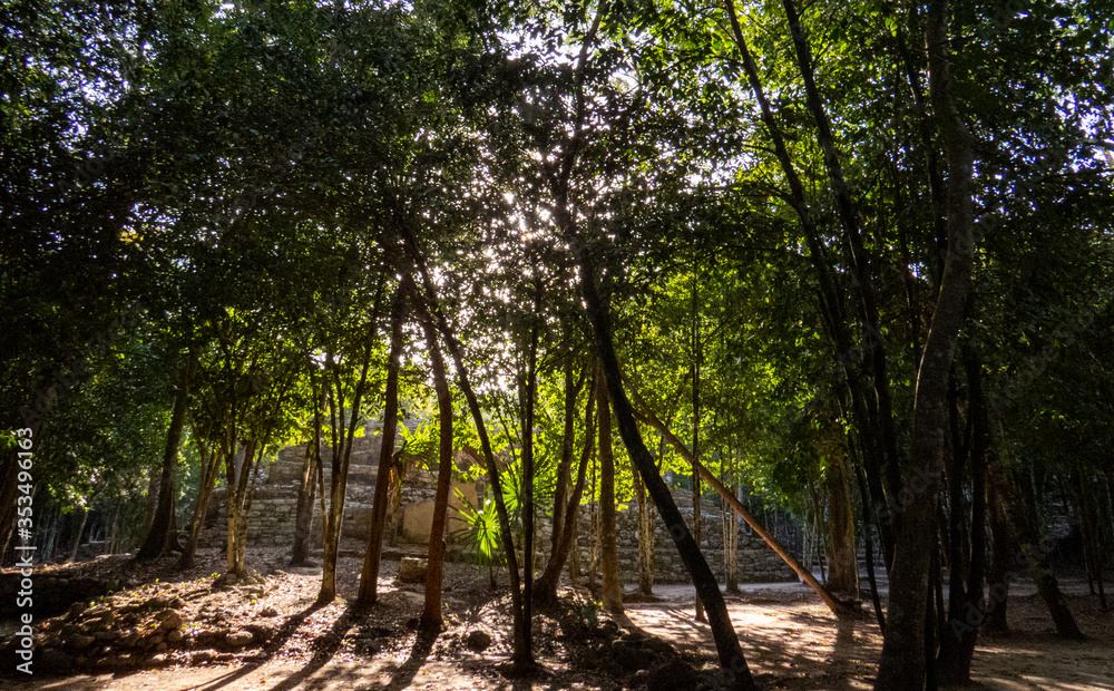 Mayan ruins under the bright sunlight that's passing through the ...