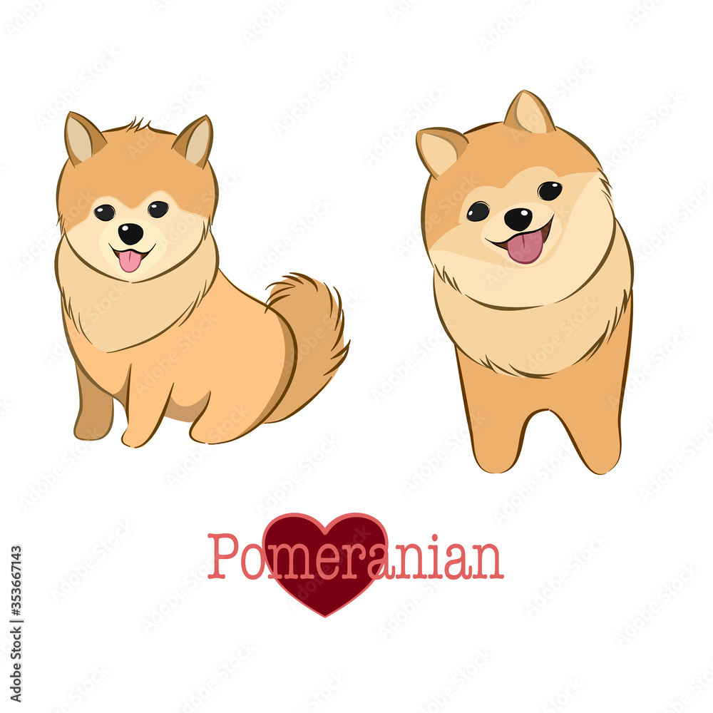 Cute Pomeranian dog collection, Free Hand Drawing, Vector illustration ...