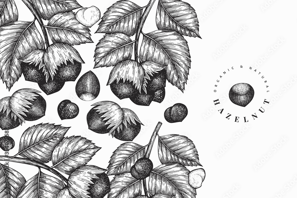 Hand drawn sketch hazelnut design template. Organic food vector ...
