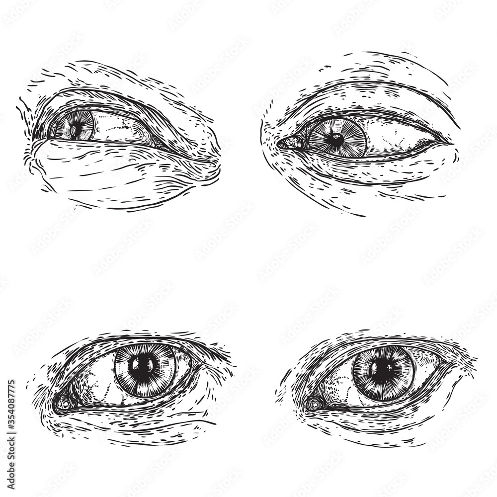 Set of various drawing of the human eye in different direction and ...