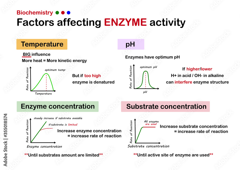 Vector de Stock Science infographic diagram show factors affecting ... Vector de Stock Science infographic diagram show factors affecting ...
