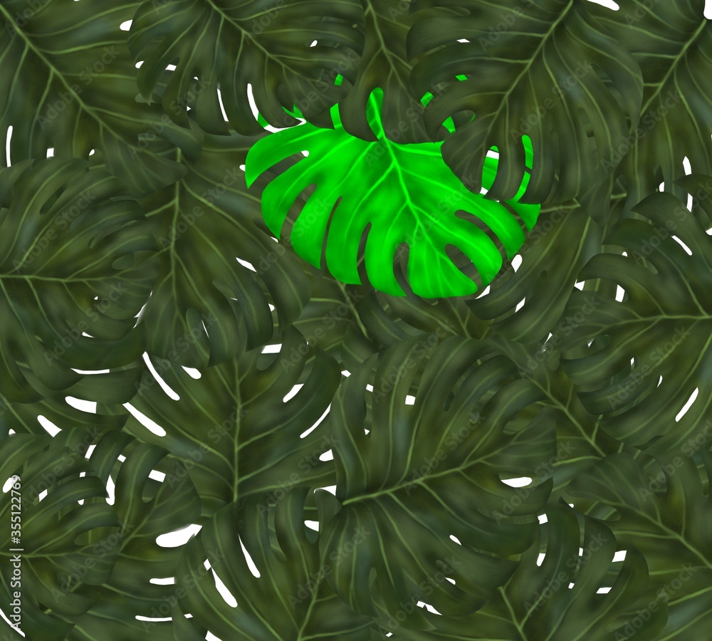 abstract art design of tropical monstera leaves and showing different ...