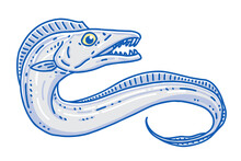 Cinturón Fish Stock de Foto gratis - Public Domain Pictures