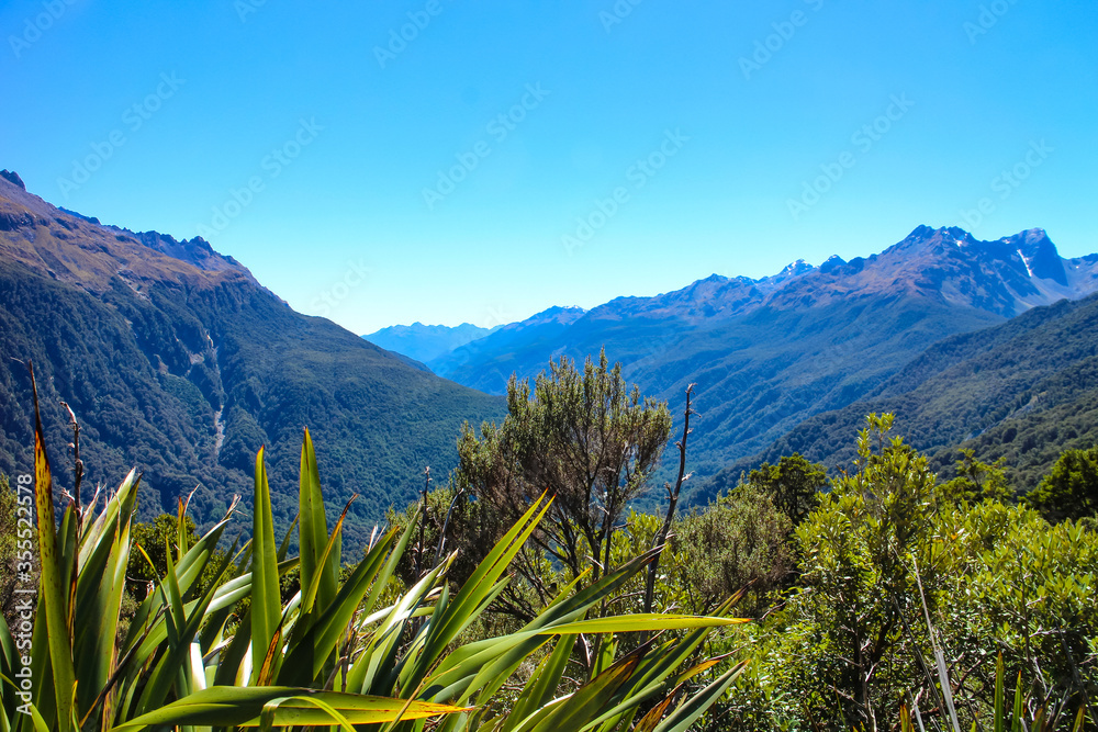 Stunning view of Hollyford Valley from the Key Summit Track section of ...