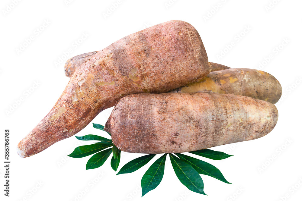 cassava tubers fresh on leaves isolated white, pile cassava manioc in ...