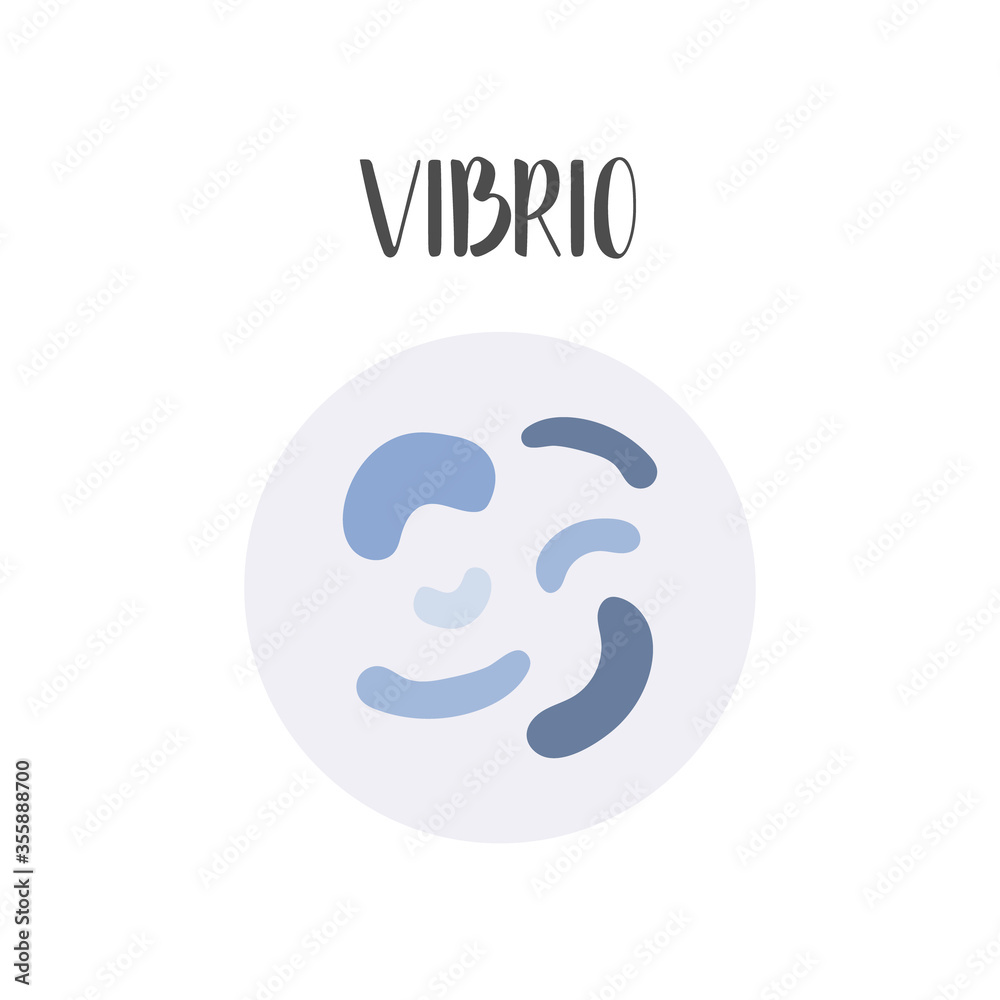 Vector de Stock Vibrio. Bacteria classification. Spiral shapes of ...