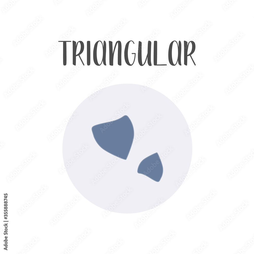 Triangular bacteria. Irregular shapes of bacteria. Types and different ...