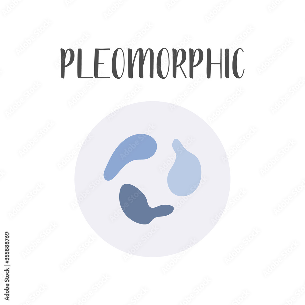 Pleomorphic bacteria. Irregular shapes of bacteria. Types and different ...