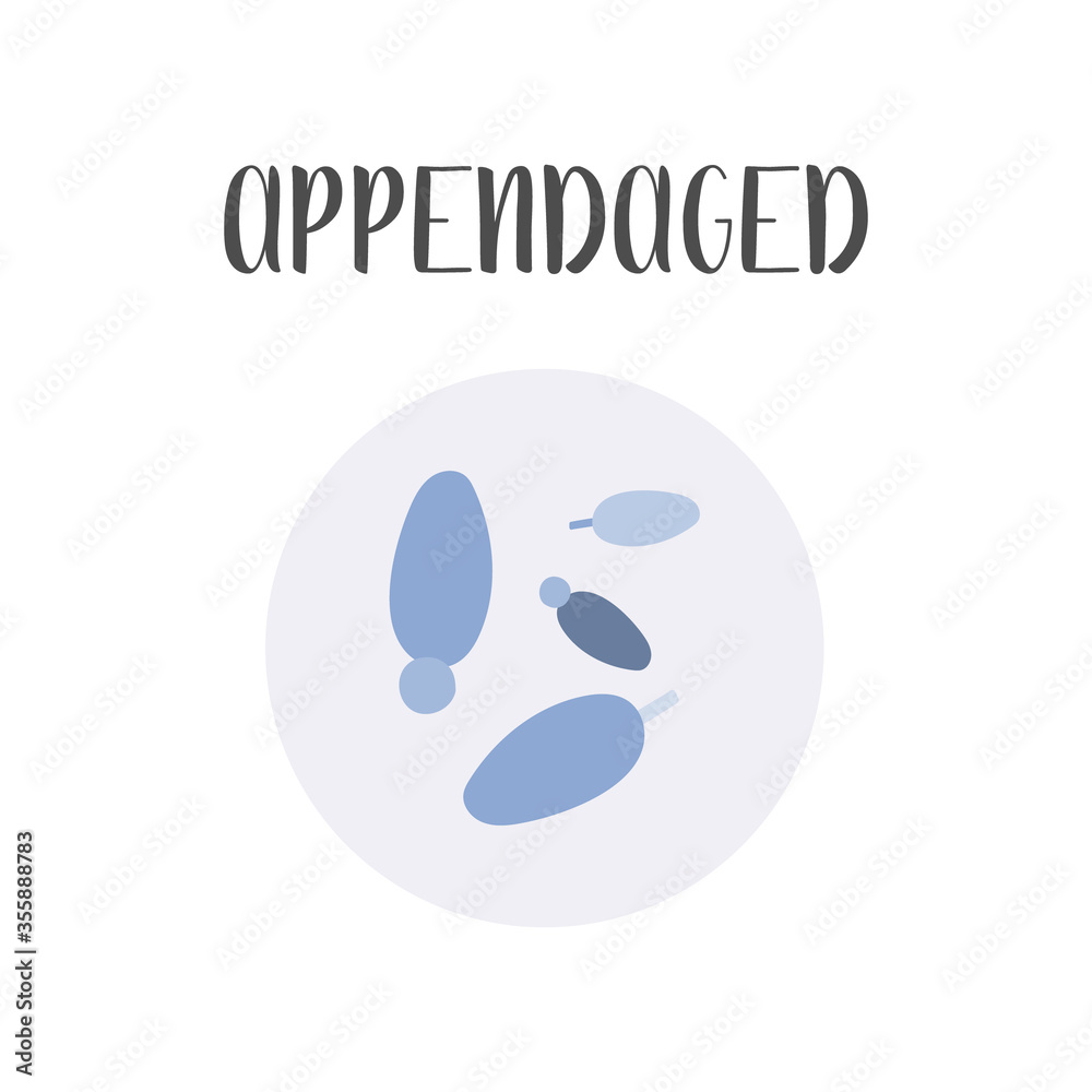 Appendaged bacteria. Irregular shapes of bacteria. Types and different ...