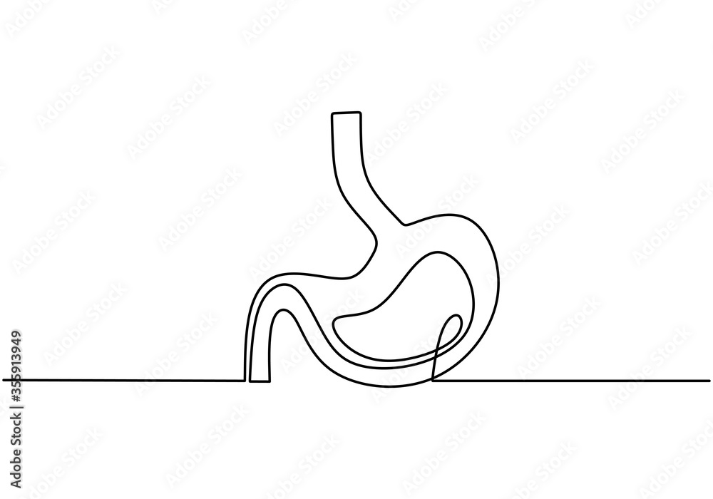 One single line art anatomical human stomach silhouette isolated on ...