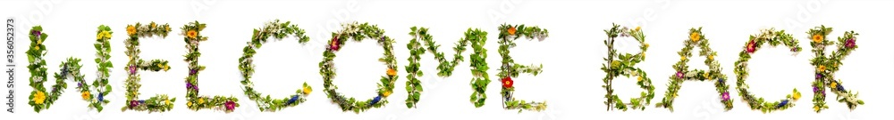 Flower, Branches And Blossom Letter Building English Word Welcome Back ...