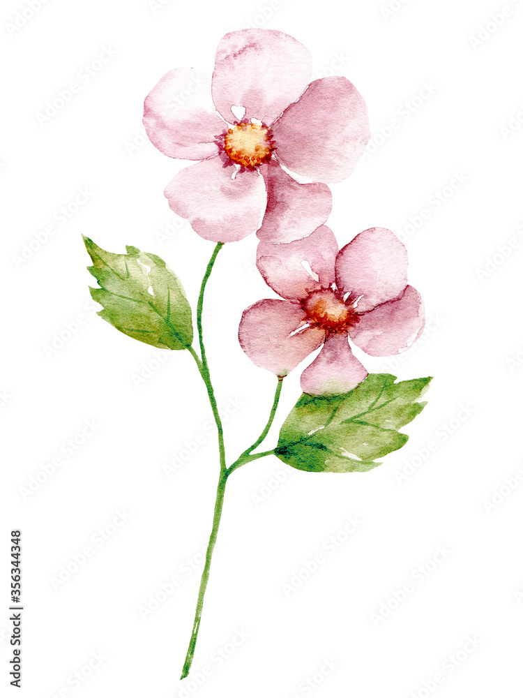 Watercolor Single Flower