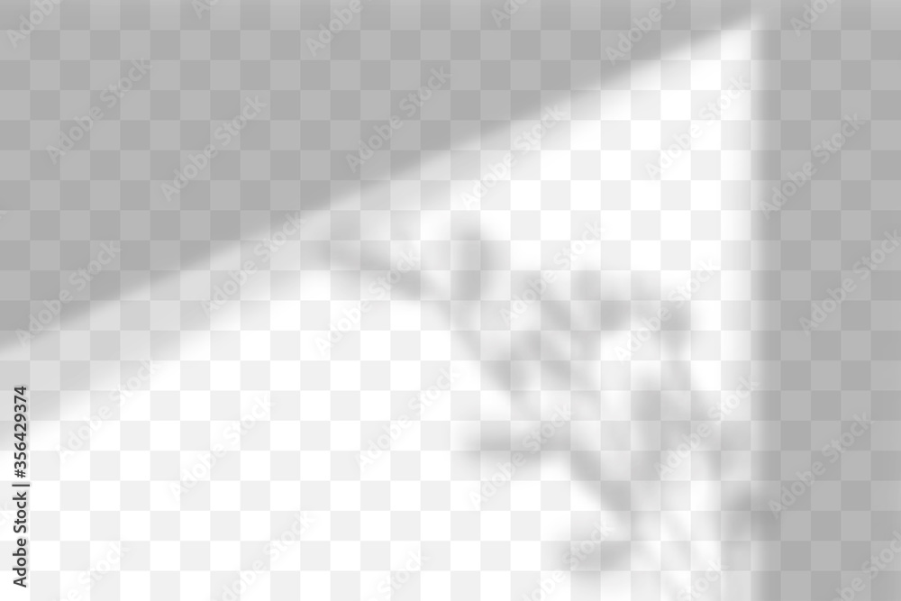 Vector transparent natural plant shadow. Light effect overlay. Mesh ...