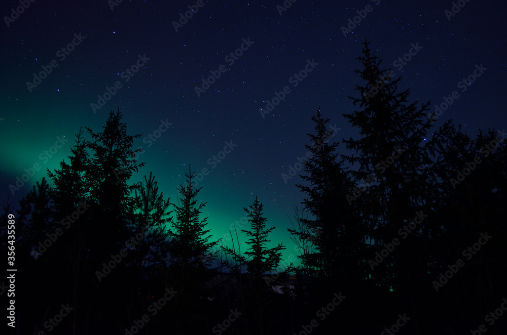 aurora borealis northern light on winter night sky over trees Stock ...