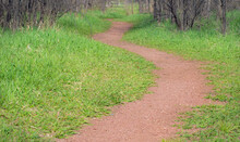 Fork In The Road Free Stock Photo - Public Domain Pictures