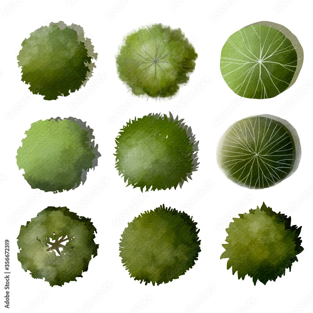 Ilustración de Stock set of watercolor tree top view isolated for landscape plan and ...