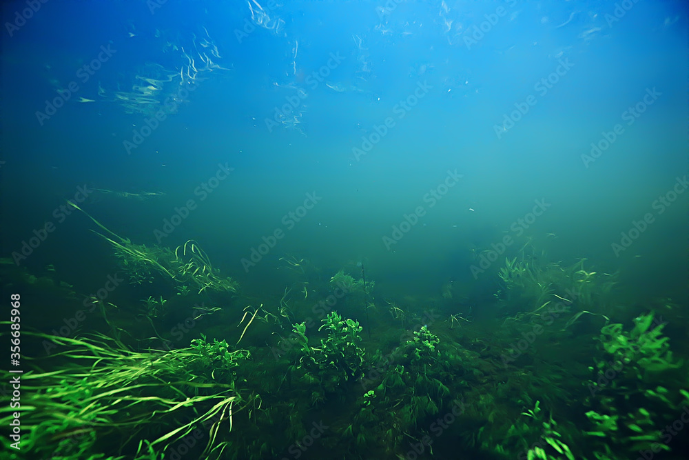 underwater texture of water in a lake / underwater photo freshwater ...