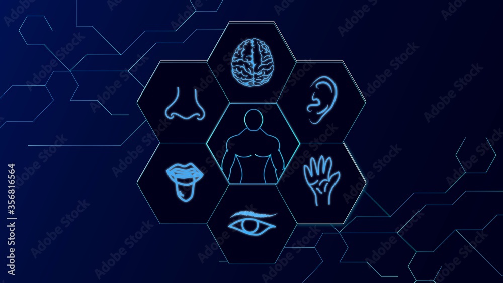 16:9 hud interface,futuristic human body,hud biology elelemt,Display ...